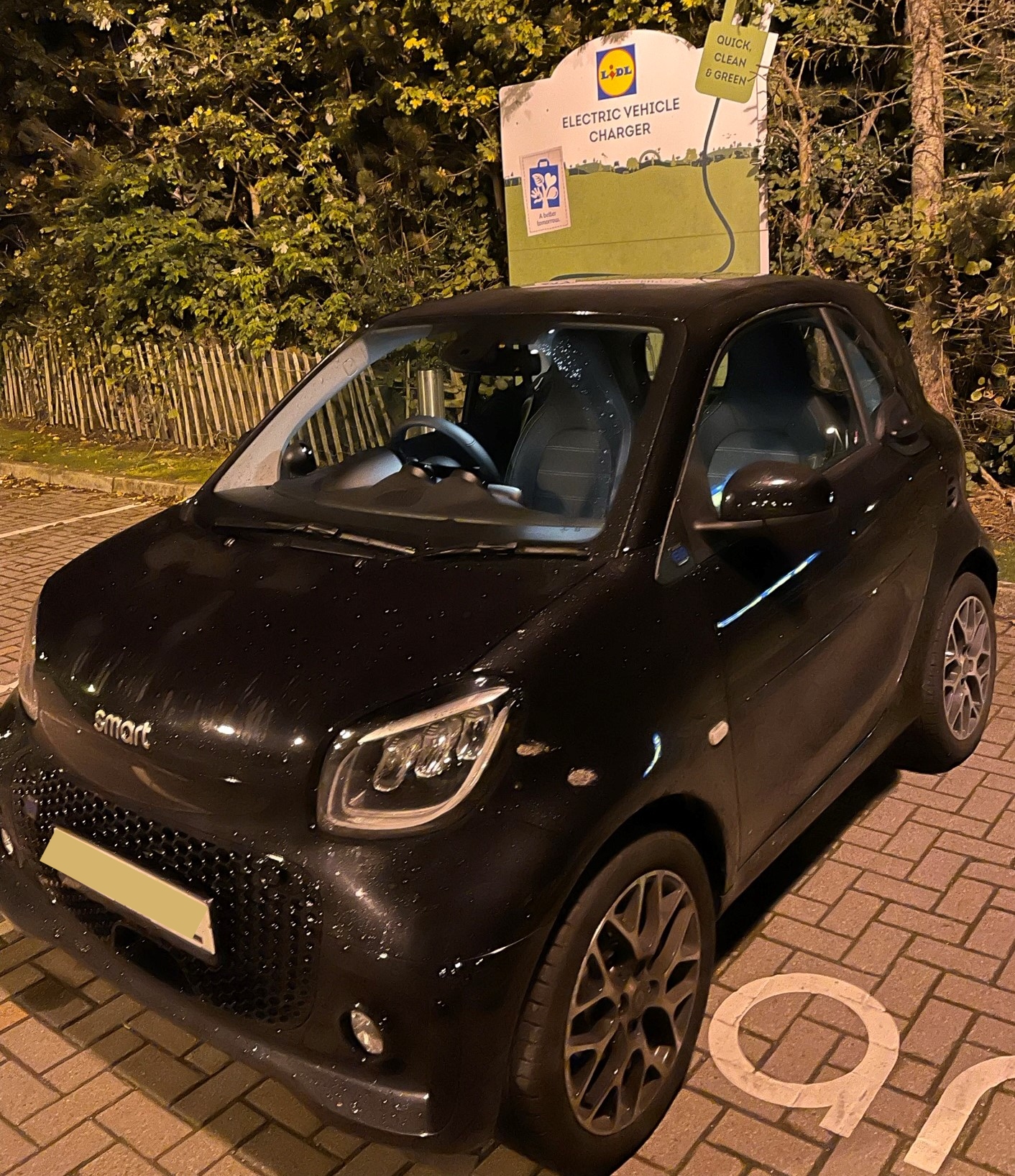 Renault Zoe Z.E.50 GT Line 2020, Ken - EV Owner Review - Electric Road