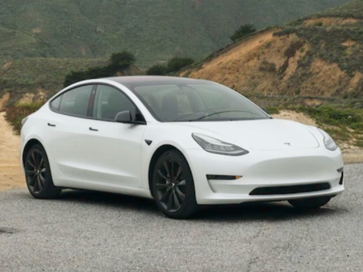 Tesla EV owner reviews - Electric Road